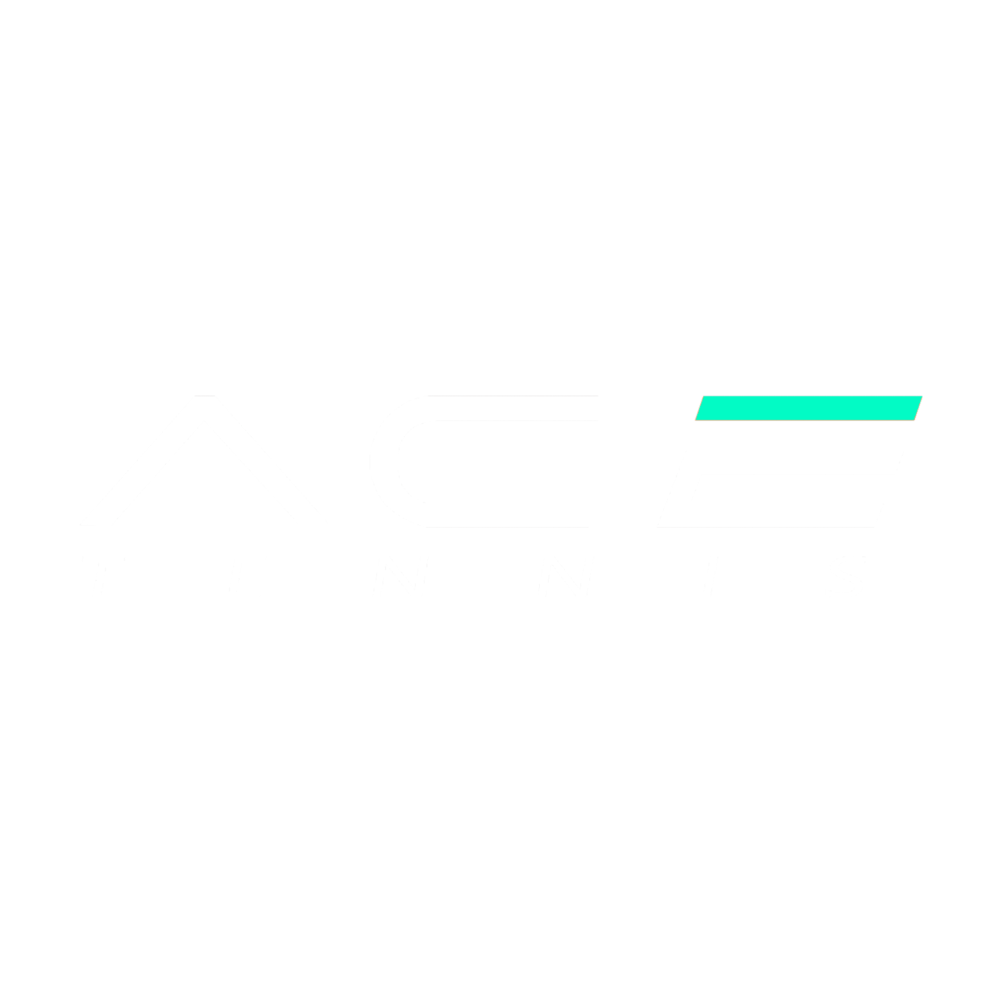 About – ACE System